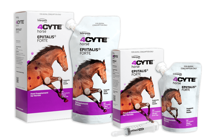4CYTE™ Epiitalis® Forte Horse - 4CYTE™ US
